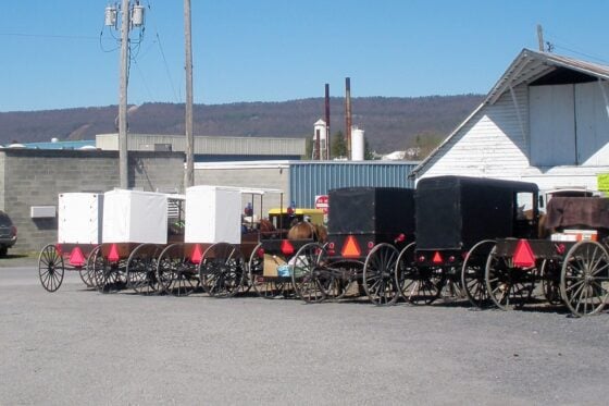How Are Amish Communities Organized? (Church District vs. Settlement vs ...