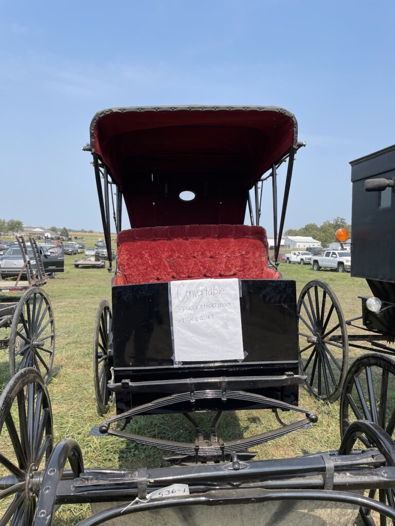 Buggy Shopping (17 Photos) - Amish America