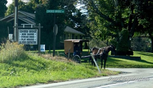 A Visit to the Amish of New Wilmington, PA (19 Photos) - Amish America