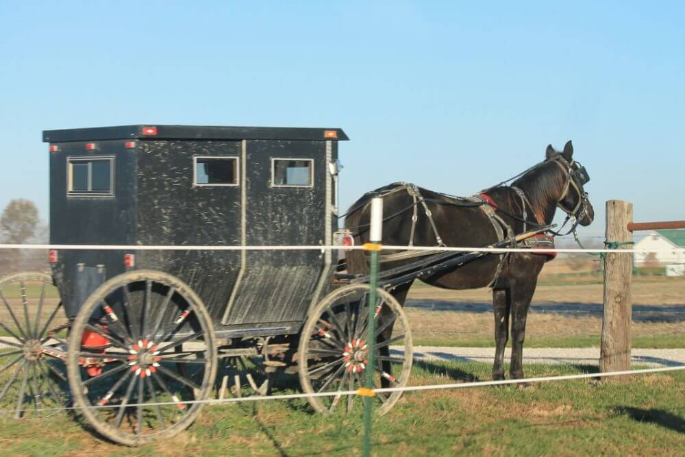 The Amish of Daviess County, Indiana (17 Photos) - Amish America