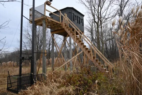 9-Year-Old in Wheelchair Finally Hunts With His Dad Thanks to Amish ...