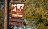 Signs of Food in Amish Country (10 Photos) - Amish America