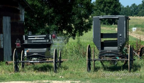 A Visit to the Amish of Ethridge, Tennessee (29 Photos) - Amish America