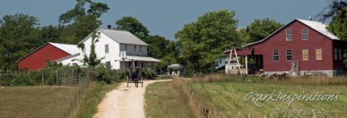 A Visit to the Amish of Ethridge, Tennessee (29 Photos) - Amish America