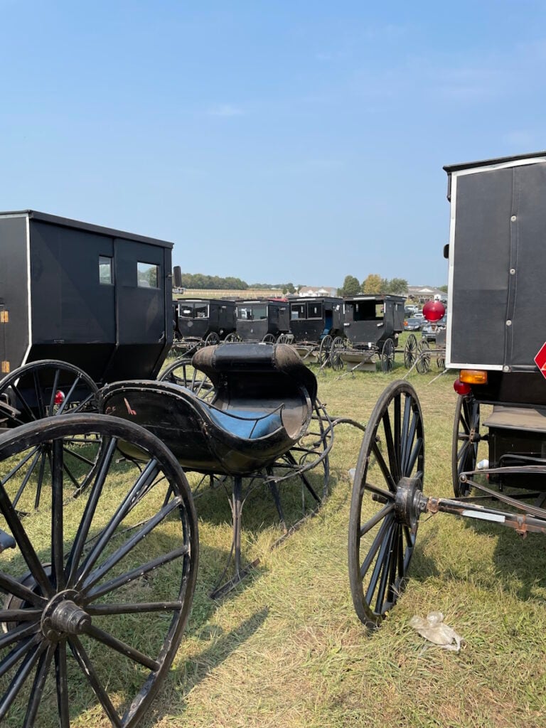 Buggy Shopping (17 Photos) - Amish America