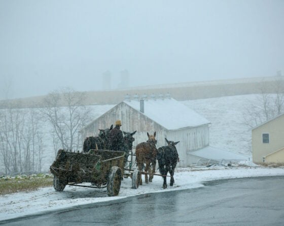 17 Striking Winter Photos That Show Amish Country at Its Most Beautiful ...