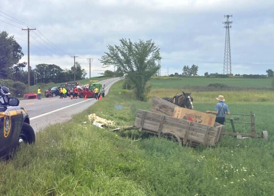 Amish Wagon Wreck: Eight People Ejected; Horse Killed (New York ...