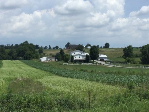 A Summer Visit To The Holmes County Amish Community (21 Photos) - Amish ...