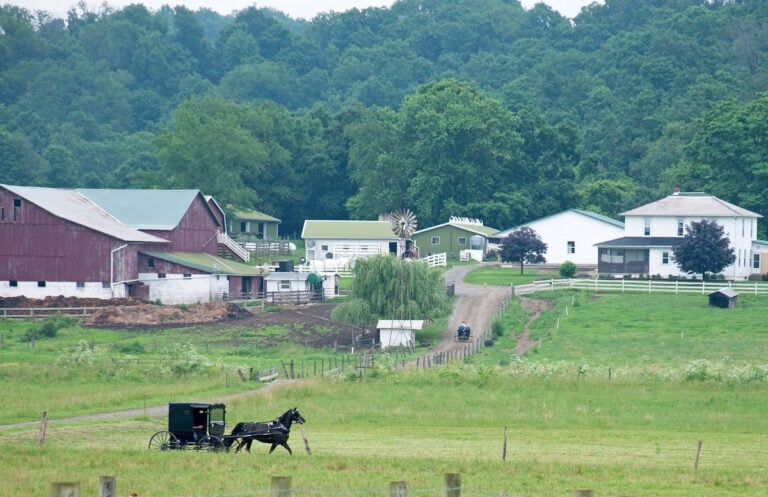 The Amish Population 2025: All 32 States Ranked Largest to Smallest ...