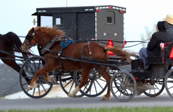 Hang On To Your Hats! An Amish “Buggy Race” (12 Photos) - Amish America