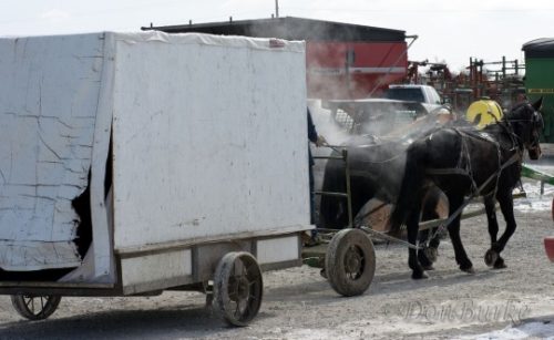 Amish Life in Winter: Q-and-A with Amish-raised Marie Graber (31 Photos ...