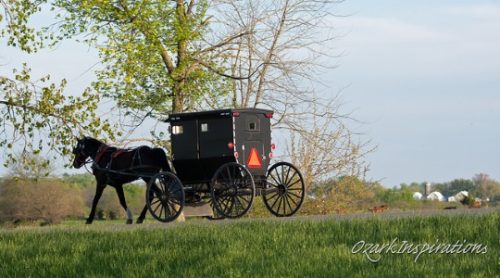 Marie Graber on Jamesport, Amish Tourism, and More - Amish America