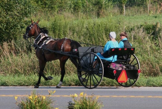 Do the Amish practice inbreeding? - Amish America