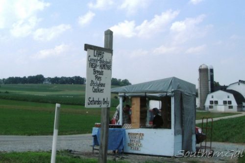 A First Visit To Amish Pennsylvania (23 Photos) - Amish America