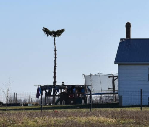 10 Views From the Berne, Indiana Amish Community - Amish America