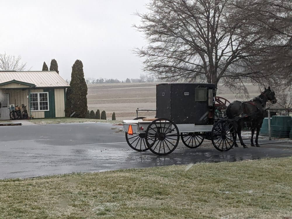 Visiting a Mennonite Market (21 Photos) - Amish America