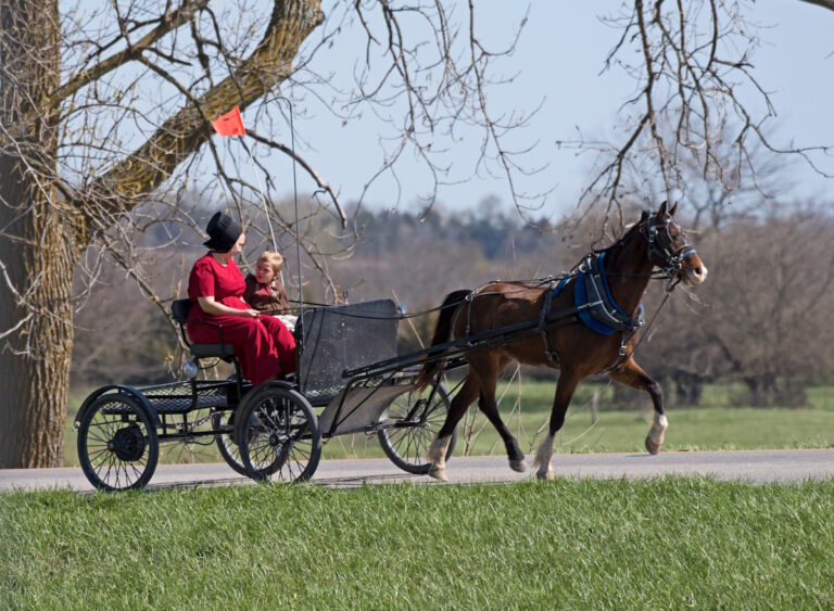 Amish Country: Where To Go (25-Community Guide) - Amish America