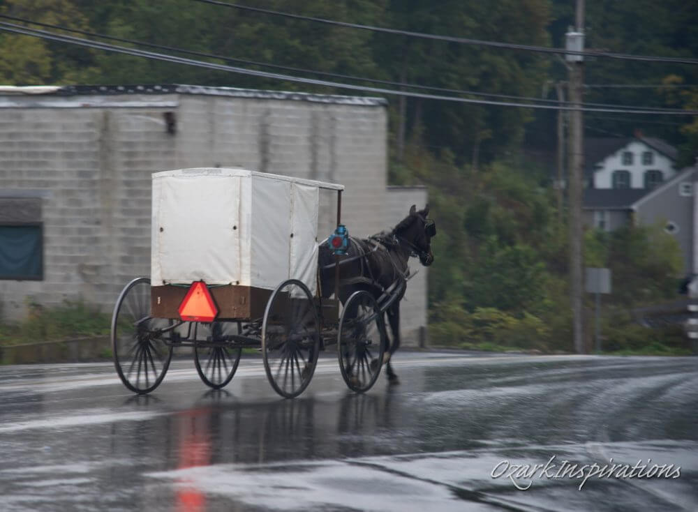 Picturing The Amish – Q&A with Photographer Don Burke (Part 1) - Amish ...