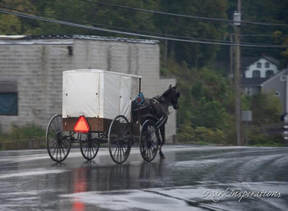 Picturing The Amish – Q&A with Photographer Don Burke (Part 1) - Amish ...
