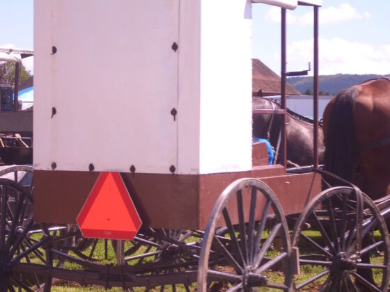 The Nebraska Amish - Amish America