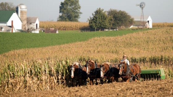 Visiting the Amish at Burke’s Garden, Virginia (13 Photos) - Amish America