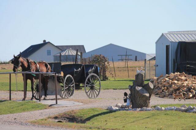 The Amish of Daviess County, Indiana (17 Photos) - Amish America