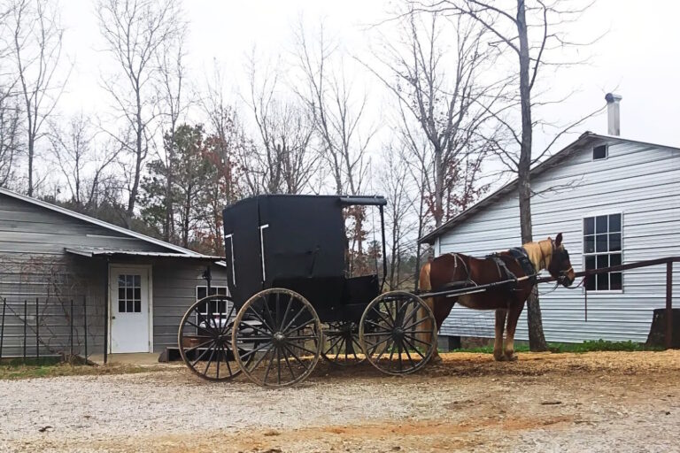 The 12 Southern States With An Amish Population - Amish America