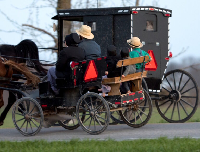 Hang On To Your Hats! An Amish “Buggy Race” (12 Photos) - Amish America
