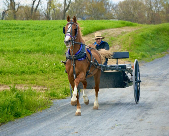 Pennsylvania’s 10 Biggest Amish Communities - Amish America