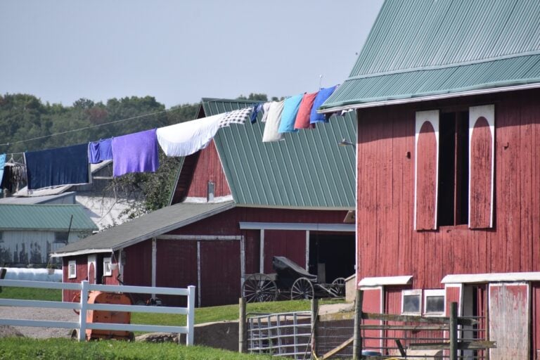 Do Amish Drink Alcohol? - Amish America