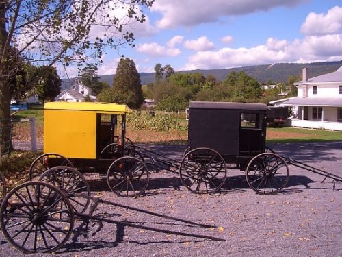 Five Amish Buggy Styles - Amish America