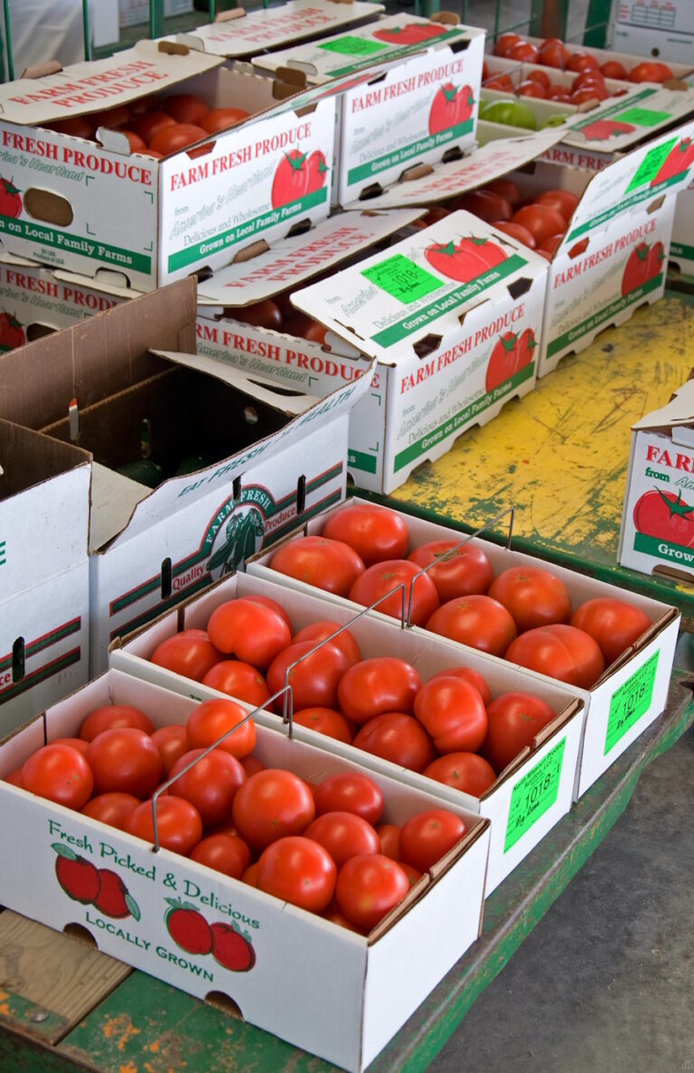 A Visit To An Amish Produce Stand & (Nearly) Year-Round Greenhouse – 23 ...