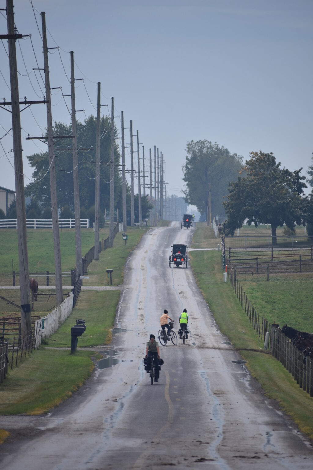 Scenes From A Big Amish Auction (15 Photos) - Amish America