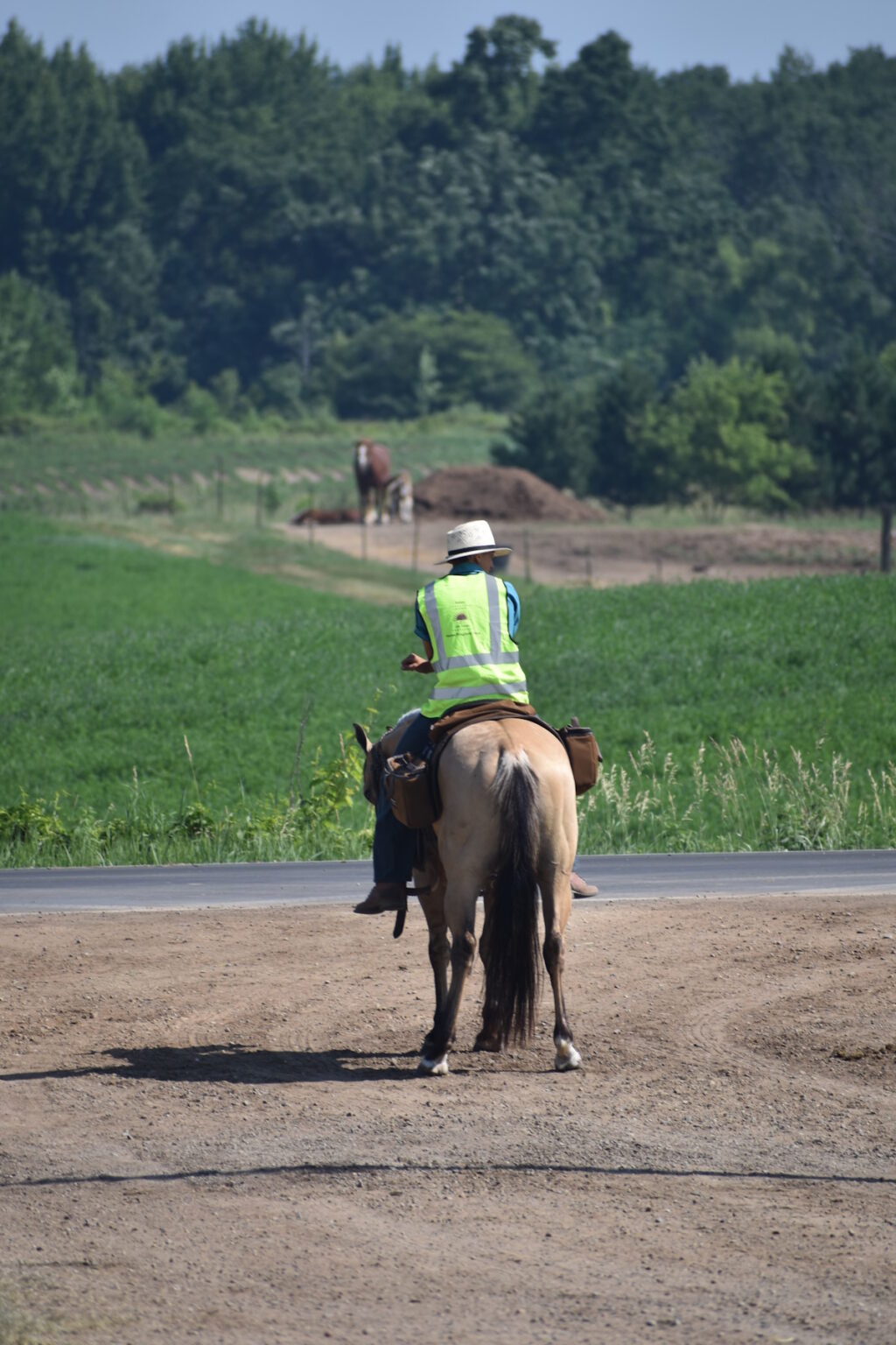 Behind The Scenes At An Amish Horse Festival (32 Photos) - Amish America