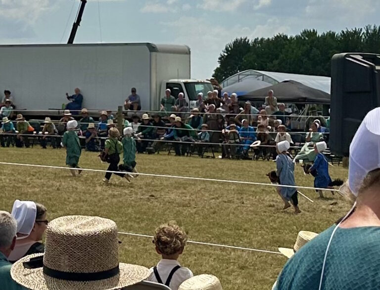 A Spectator’s View of Horse Progress Days 2025 (20 Photos) - Amish America