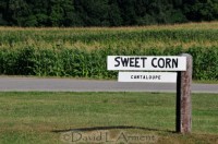 Signs of Food in Amish Country (10 Photos) - Amish America