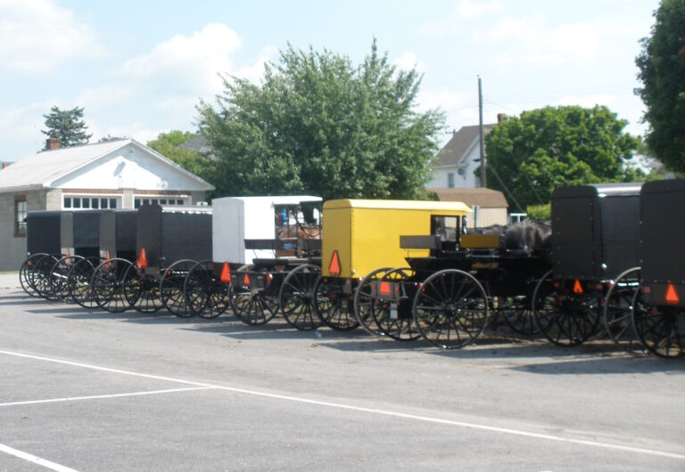 Are These “True” Amish? Posing For A Group Photo… - Amish America