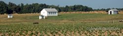 A Visit to the Amish of Ethridge, Tennessee (29 Photos) - Amish America
