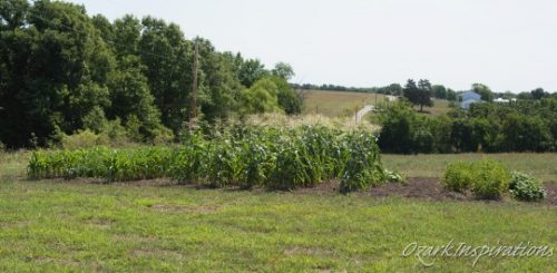 Tour An Amish Home (Jamesport, MO – 31 Photos) - Amish America