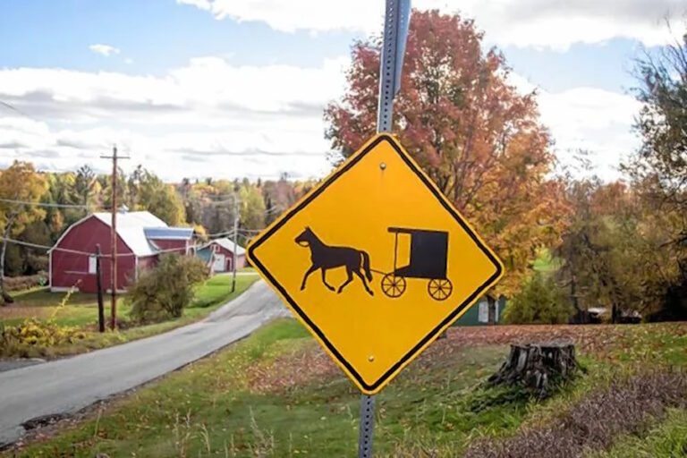 The Amish Population 2025: All 32 States Ranked Largest to Smallest ...
