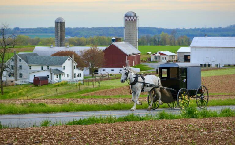 The Amish Buggy (All About Plain Transportation) - Amish America