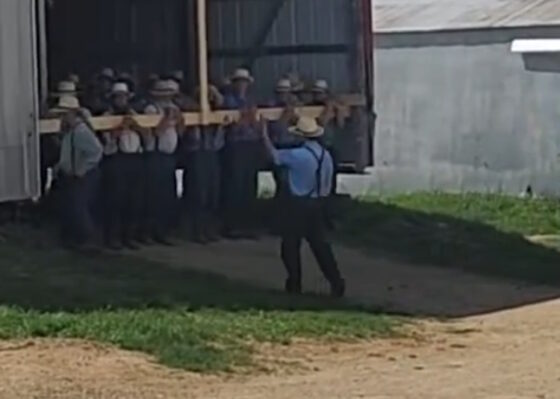 Easy As Pie: 300 Amish Move A Pole Barn (14 Images & Video) - Amish America