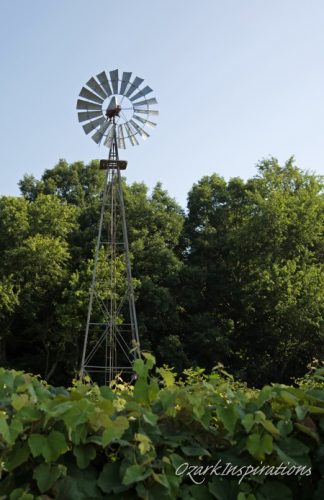 A Visit to the Amish of Ethridge, Tennessee (29 Photos) - Amish America