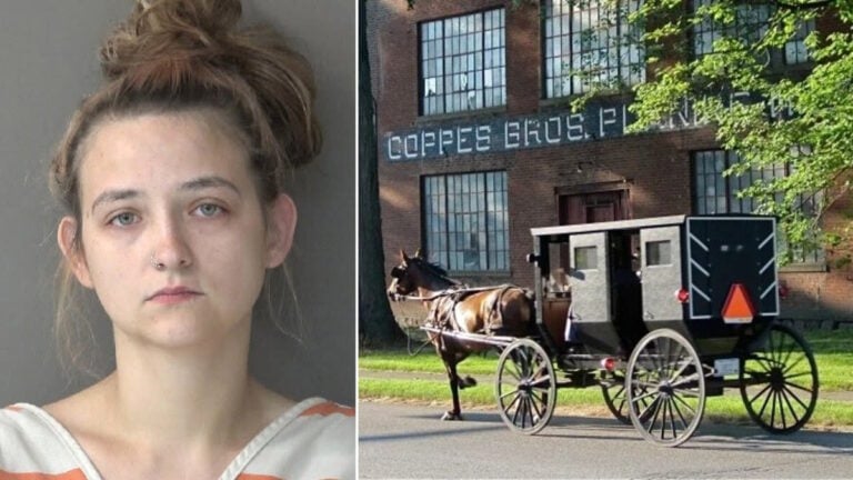 Woman With 0.14 BAC Hits Amish Buggy Carrying Five, Including Baby ...