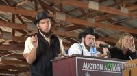 Yoder Brothers: Amish Auctioneers - Amish America
